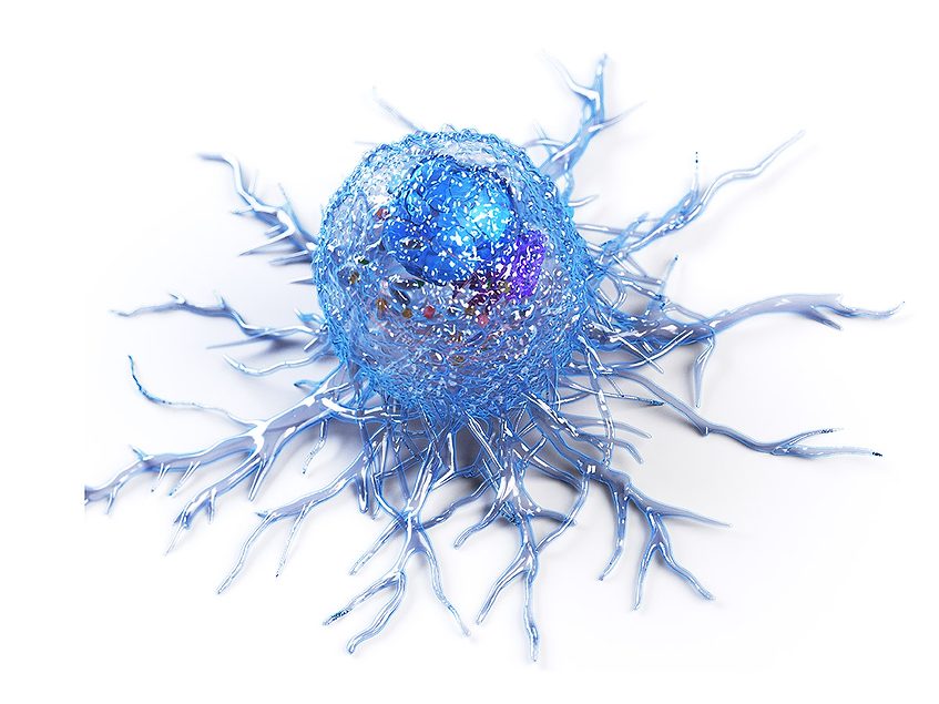 Research uncovers how USP15 facilitates immune evasion in colorectal ...