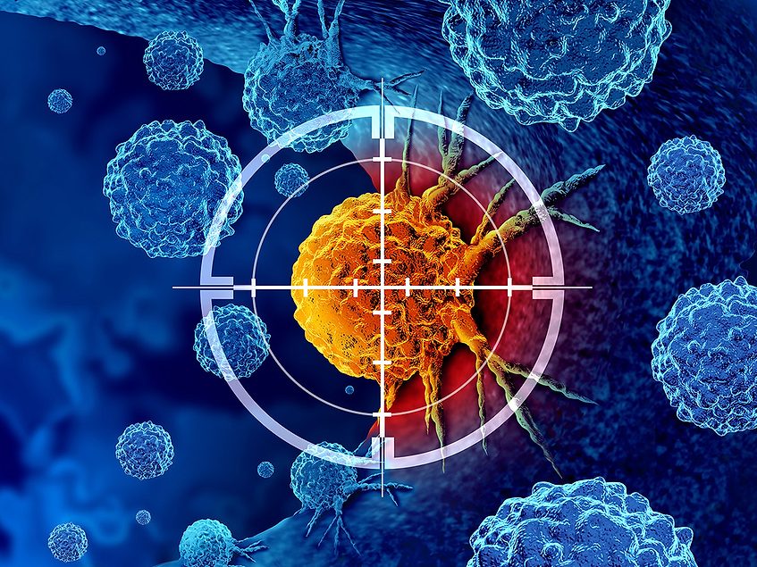 AKT1 enhances tumor cell glycolysis through ME2fl phosphorylation ...