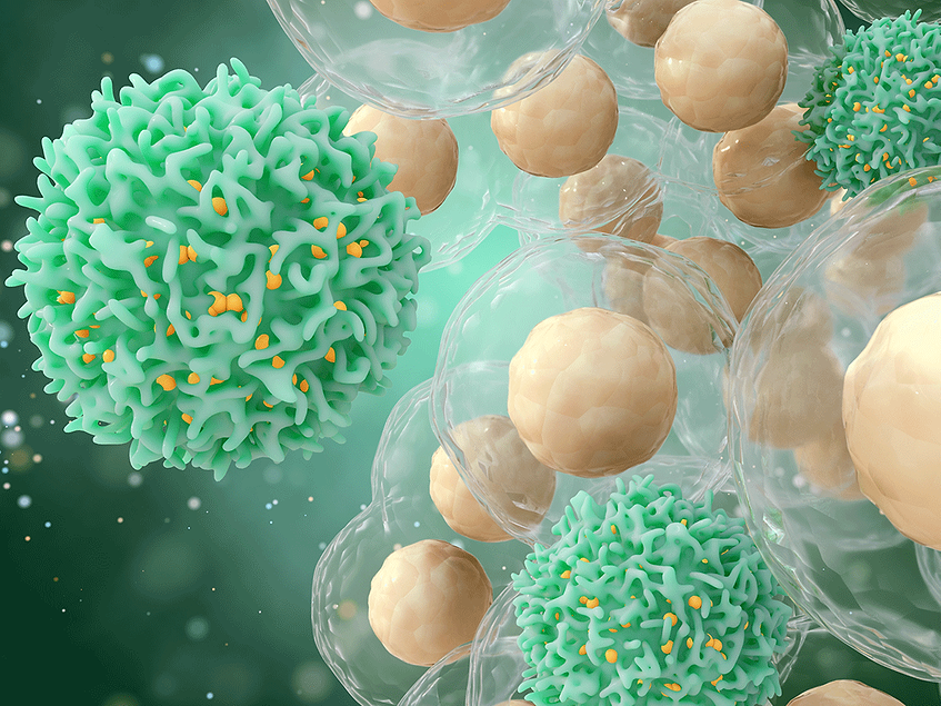 Candid, Epimab ink $1B T-cell engager deal in autoimmune disease | BioWorld
