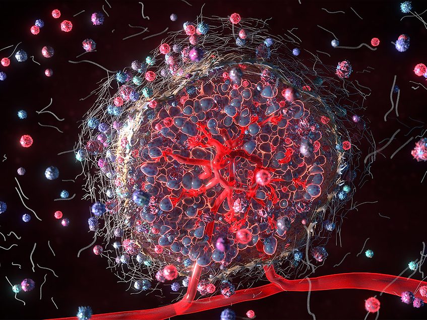 PH027-1, a potent WRN inhibitor with a wide safety margin and efficacy ...