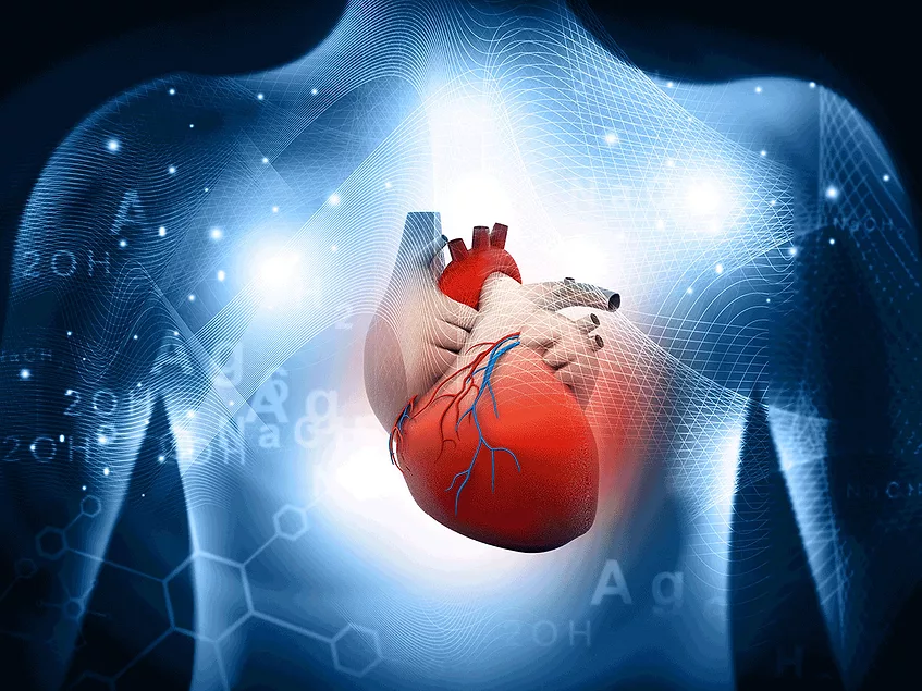 Heartbeat.bio and Biotx.ai partner in heart failure | BioWorld
