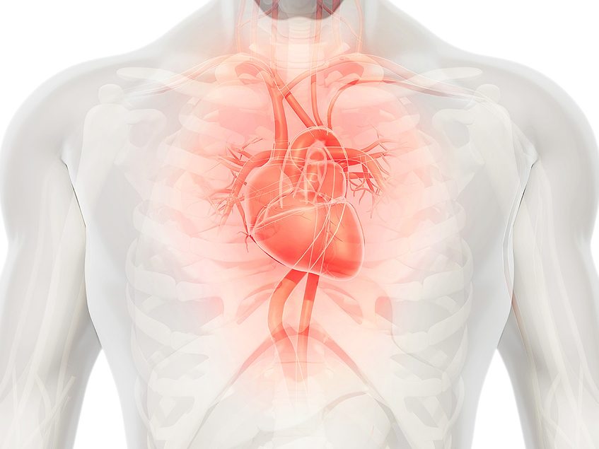 ALDH9A1 identified as therapeutic target in CAVD | BioWorld