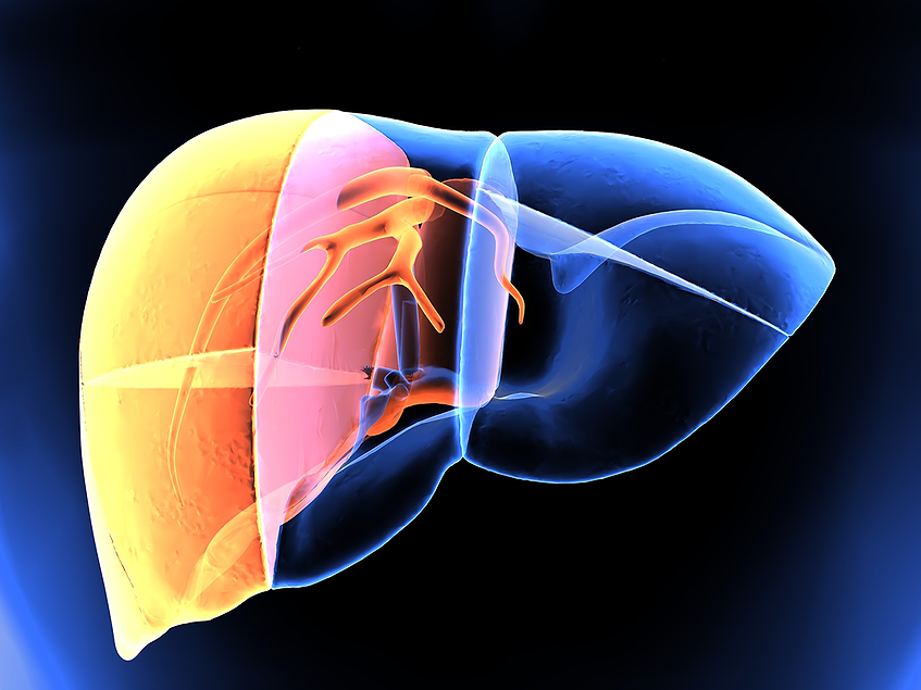 GTX-011 demonstrates antifibrotic effects in human precision-cut liver ...