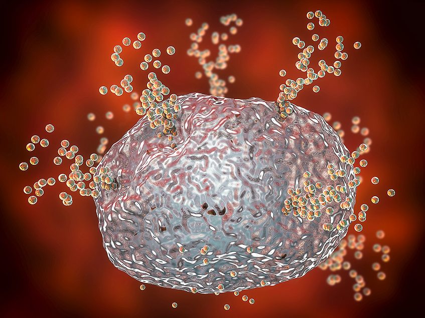GSK reports discovery of MRGPRX2 antagonists for mast cell diseases ...