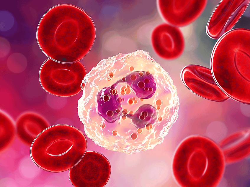 Onchilles Pharma's new development candidate leverages ELANE pathway ...