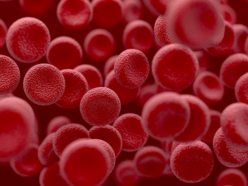 Sinocelltech’s SCT-800 wins NMPA approval; first homegrown drug for ...