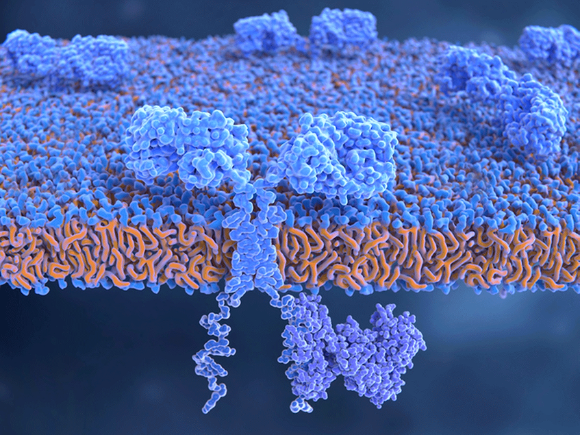 Inceptor Bio raises $37M to advance triplet of CAR therapies | BioWorld