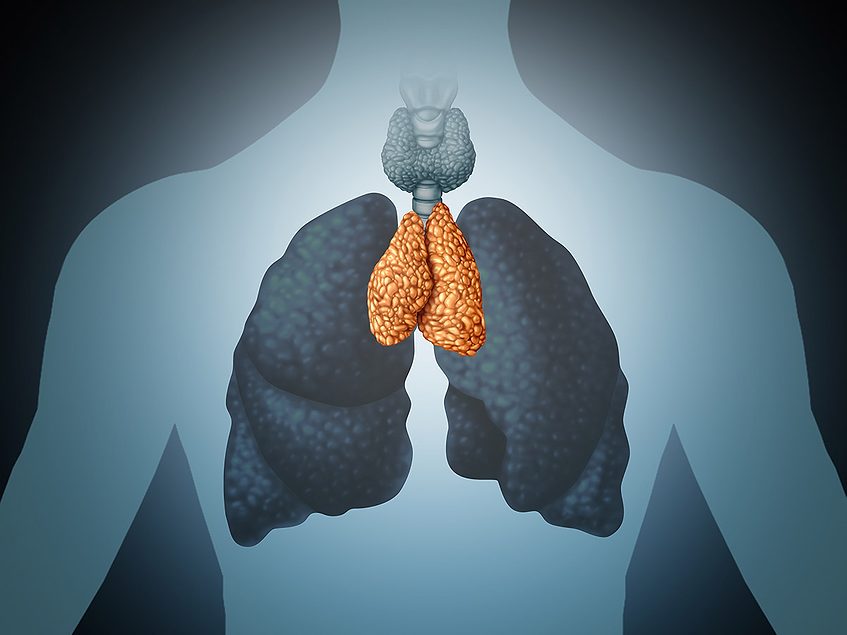 Tolerance Bio and Zipcode partner on thymus-targeting therapeutics ...