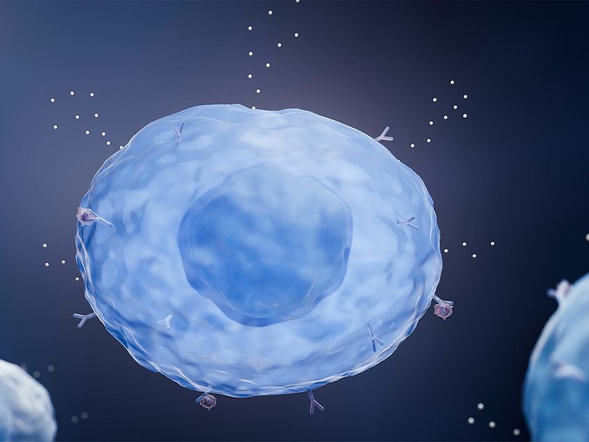Lowering the mast: EoE theory down after Celldex phase II | BioWorld