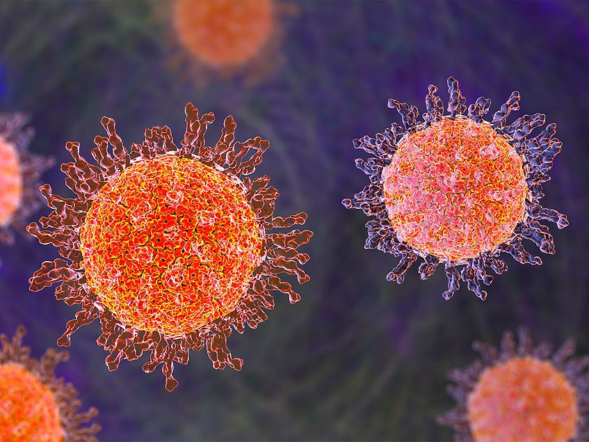 Long-acting helicase-primase inhibitor prevents HSV recurrences | BioWorld