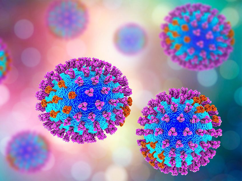 Drug-Fc conjugate protects from seasonal and pandemic influenza strains ...
