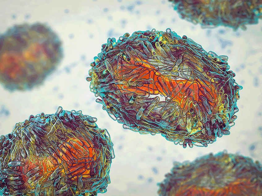 Startup Vacv emerges with $3M and new oncolytic virus strategy | BioWorld