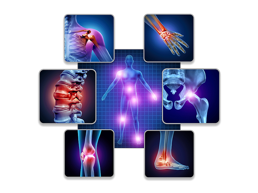 Abbvie provides details on discovery of anti-TNF glucocorticoid ...