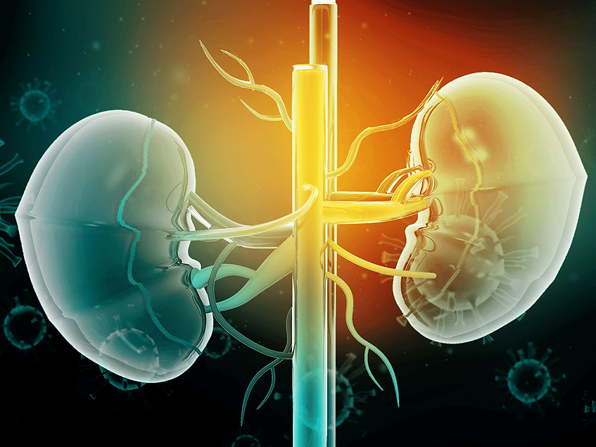 Prokidney produces positive phase II CKD data, thunderous stock surge ...