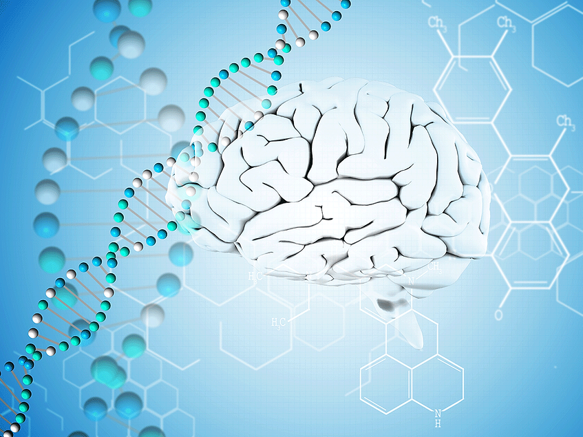 Brain cell maps, the neurological zoom of psychiatric disorders | BioWorld
