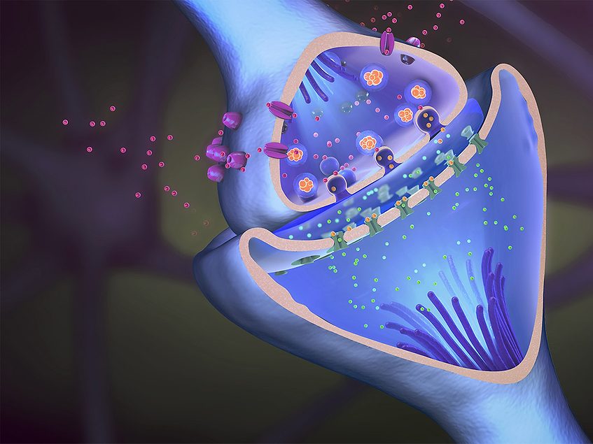 Indivior advances GABA-B PAM program for substance use disorders ...