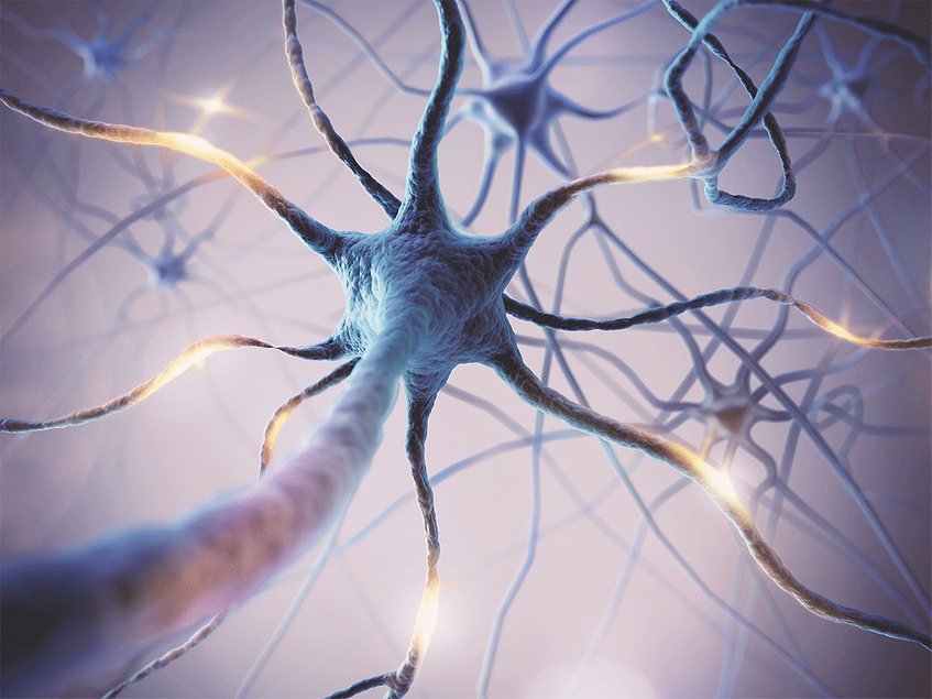 Vesalic targeting toxic muscle exosomes in motor neuron diseases | BioWorld