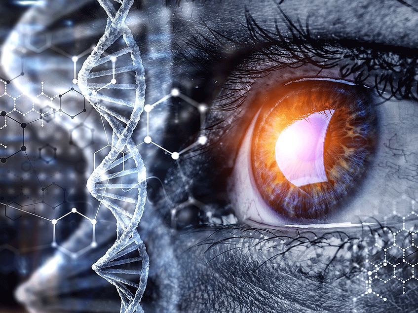 Preclinical safety and efficacy of intein-based dual-AAV gene therapy ...