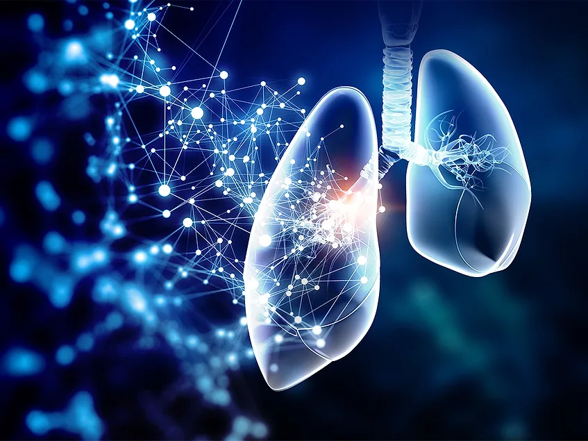 Cell atlas maps out lung in health and disease | BioWorld