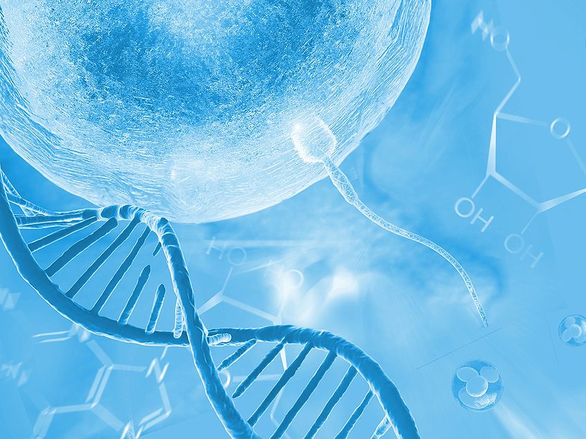 First-in-class antibody combats male and female infertility in ...