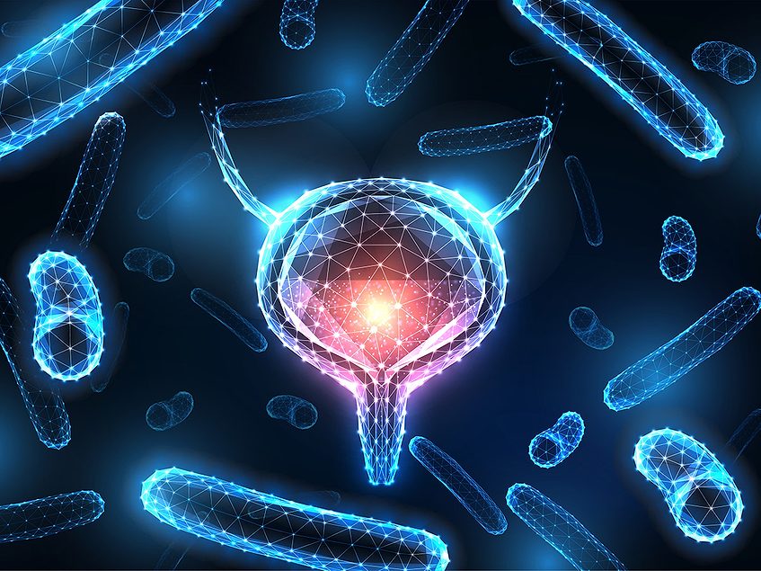 FDA issues CRL for Venatorx’s antibiotic combo in UTIs | BioWorld